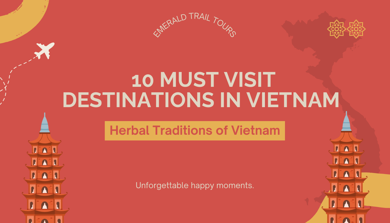 Top 10 Must-Visit Destinations in Vietnam